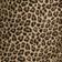 Dickies Leopard Print Silver Firs Pants | Urban Outfitters UK