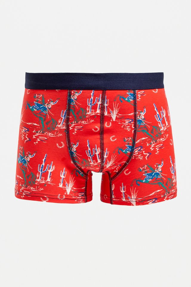 UO Western Landscape Print Boxers | Urban Outfitters UK