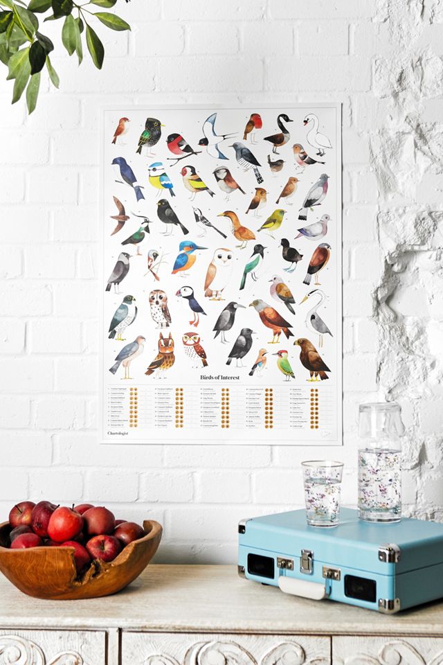 Luckies of London Scratch Bird Chart | Urban Outfitters UK