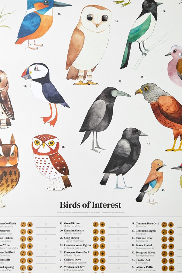 Luckies of London Scratch Bird Chart | Urban Outfitters UK