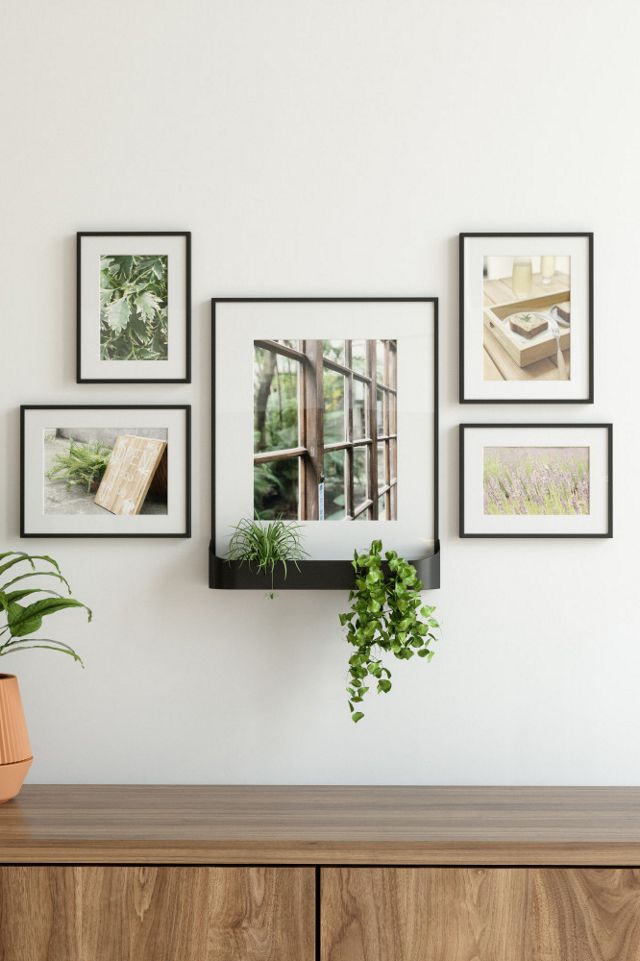 Matinee Frames 5-Pack | Urban Outfitters UK