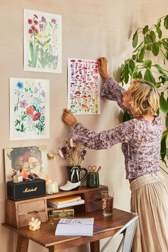 Poster 30 x 40 fleurs sauvages rouges et bleues | Urban Outfitters FR