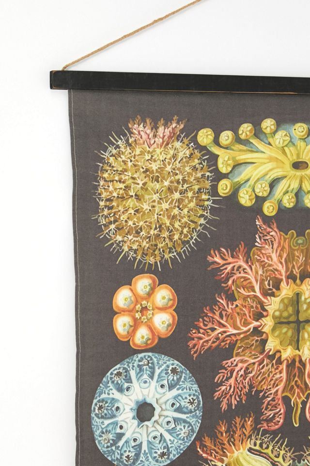 Algae Hanging Wall Art | Urban Outfitters UK