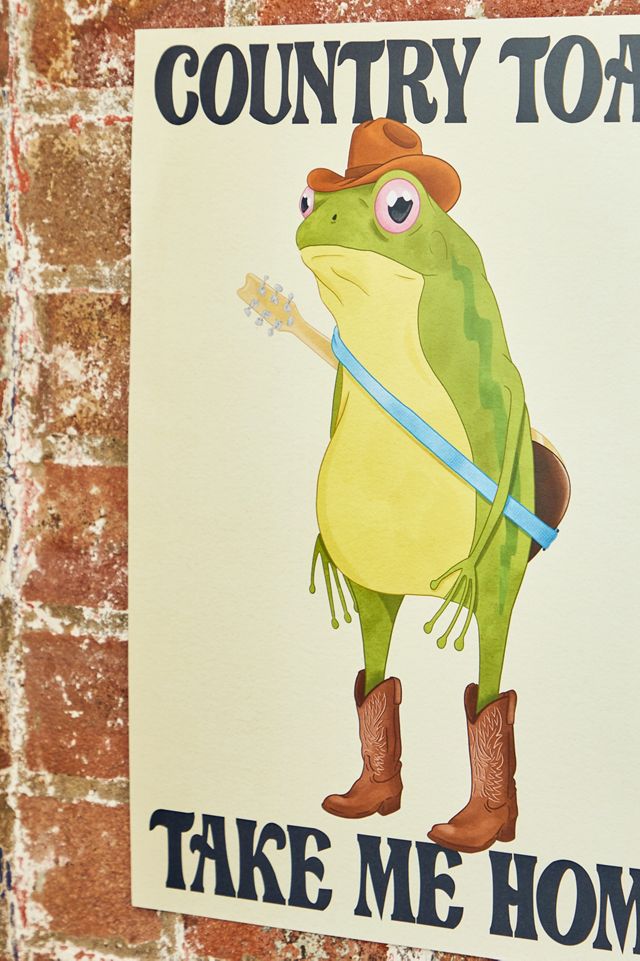 Danny Issues - Affiche Country Toad 30x40, exclusivité UO | Urban ...