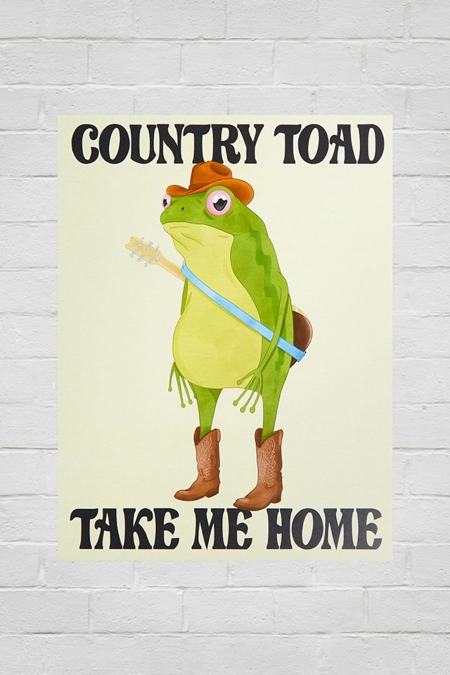 Danny Issues - Affiche Country Toad 30x40, exclusivité UO | Urban ...