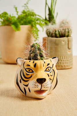 Mini Tiger Head Plant Pot | Urban Outfitters UK