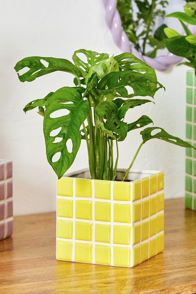 Yellow Tile Print Plant Pot | Urban Outfitters UK