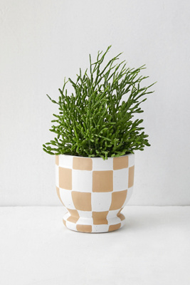 Frankie White Checkerboard Plant Pot | Urban Outfitters UK