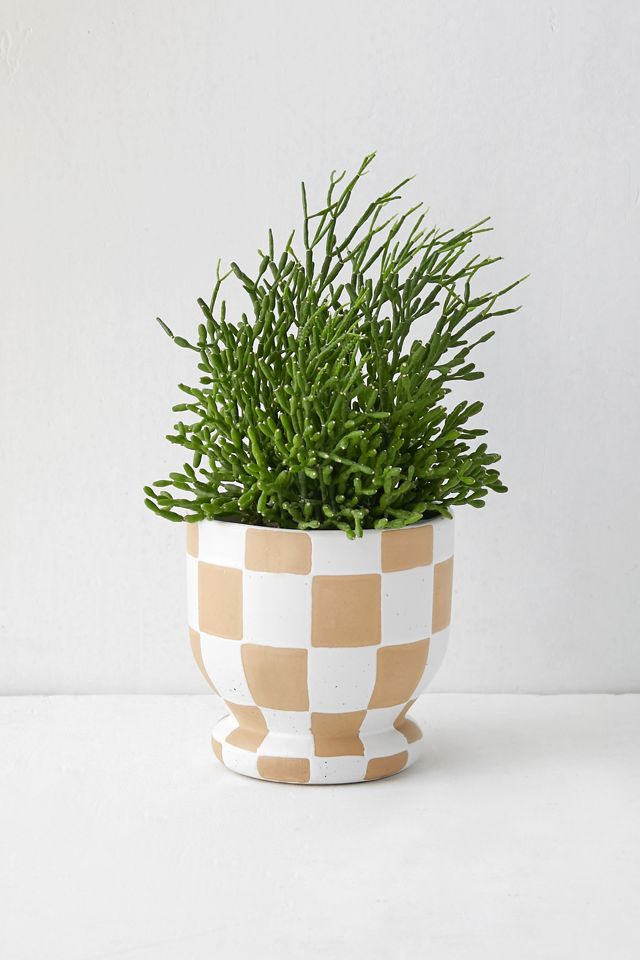 Frankie White Checkerboard Plant Pot | Urban Outfitters UK