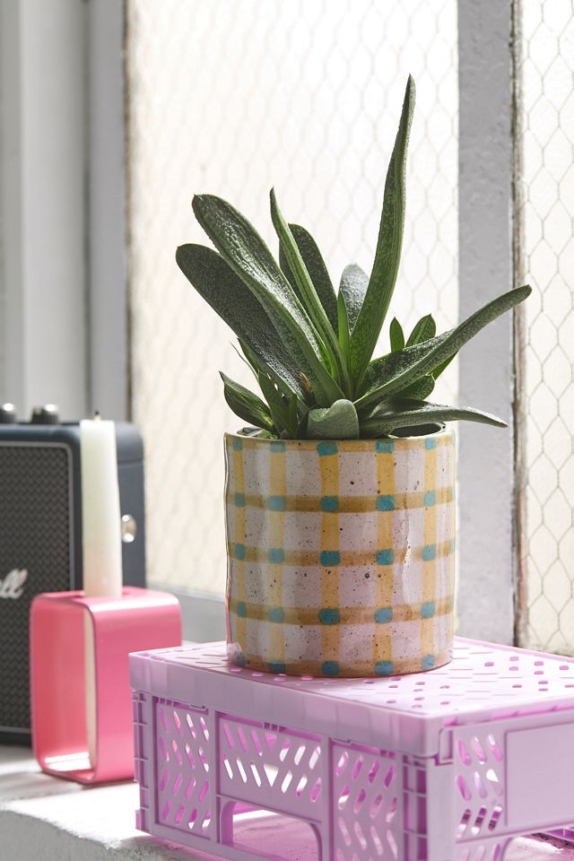 Elia Check Plant Pot | Urban Outfitters UK