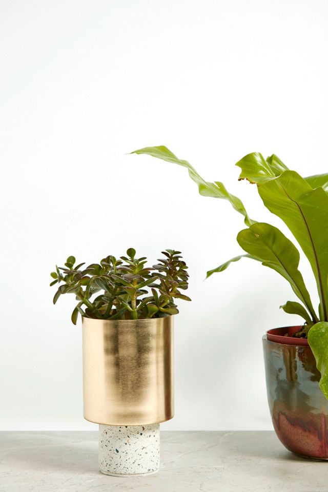 Small Terrazzo Base Plant Pot | Urban Outfitters UK
