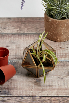 Mini Geo Terrarium | Urban Outfitters UK