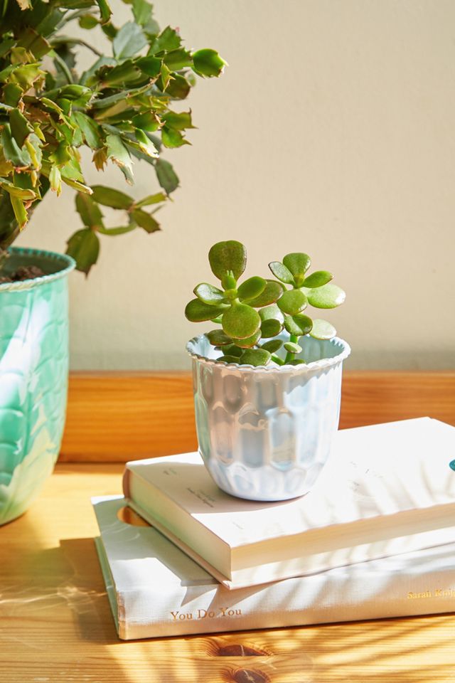 Small Enamel Planter | Urban Outfitters UK