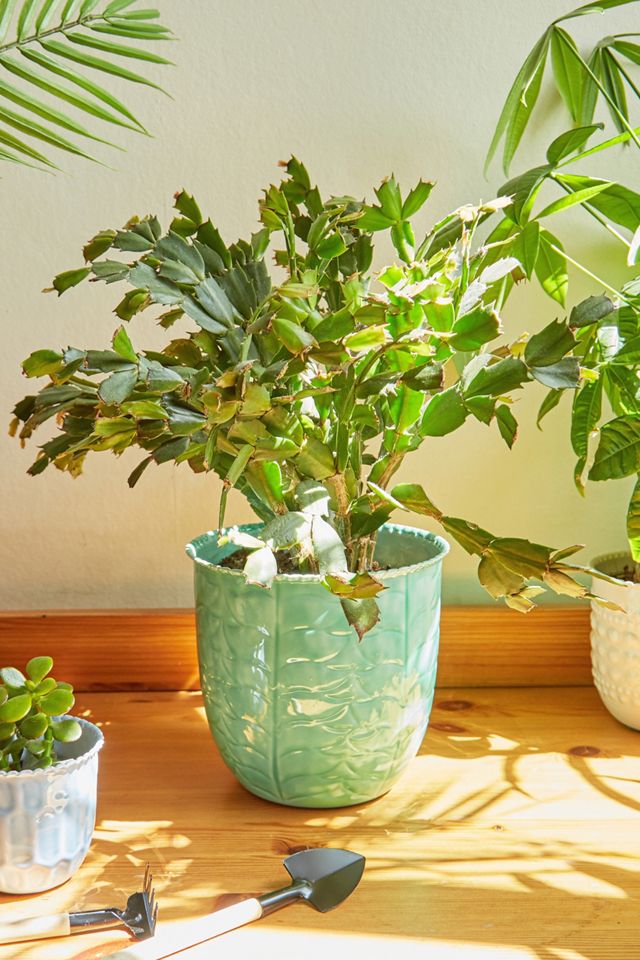 Large Enamel Planter | Urban Outfitters UK