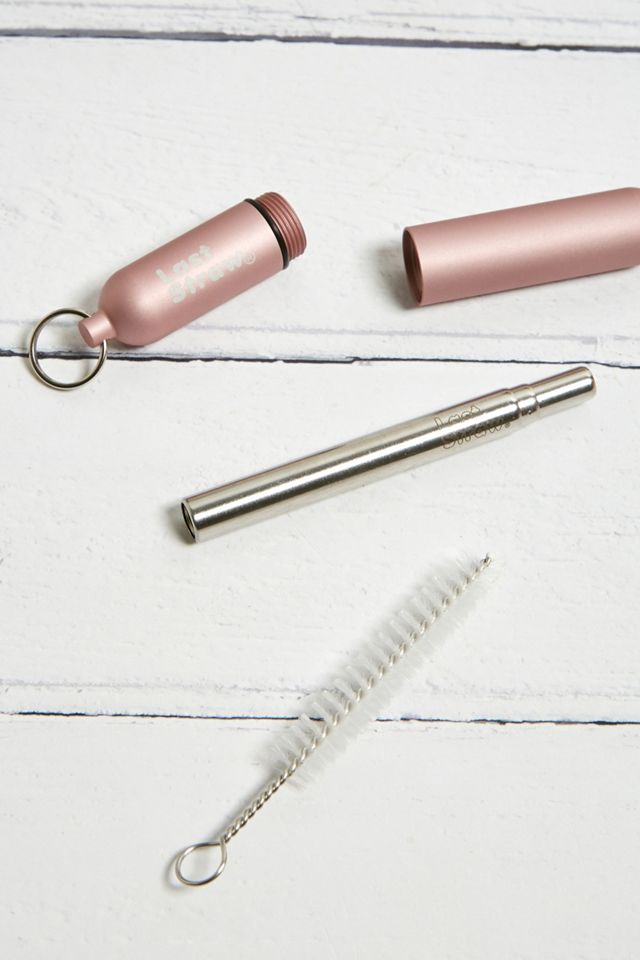 The Last Straw Reusable Straw & Case | Urban Outfitters UK