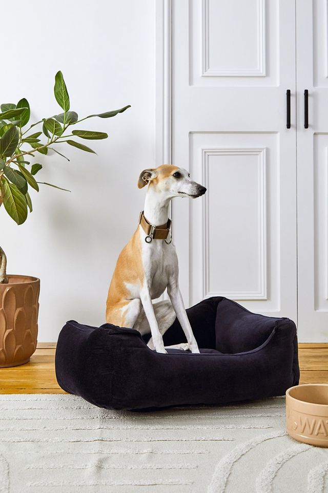 Milo Small Midnight Pet Bed | Urban Outfitters UK