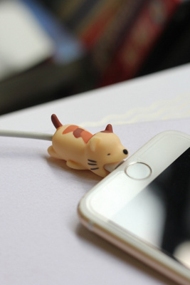 Animal Cable Bite | Urban Outfitters UK