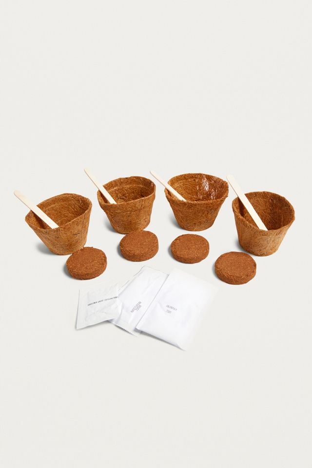 Grow Your Own Urban Garden Kit | Urban Outfitters DE