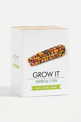 Grow It Rainbow Corn Kit | Urban Outfitters UK