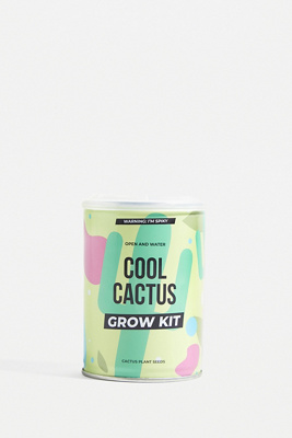 Cool Cactus Grow Kit | Urban Outfitters UK