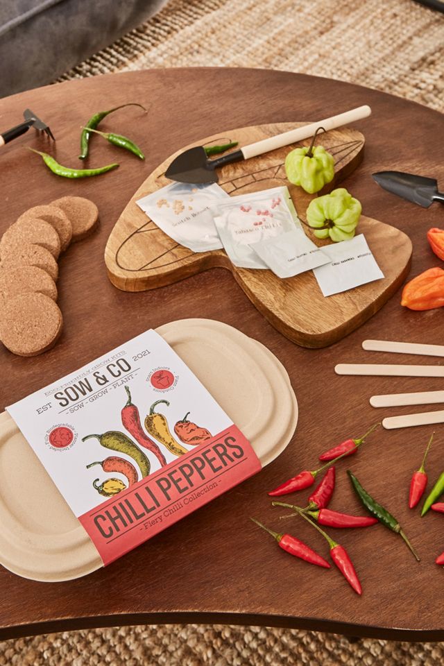 Sow & Co Chilli Kit | Urban Outfitters UK