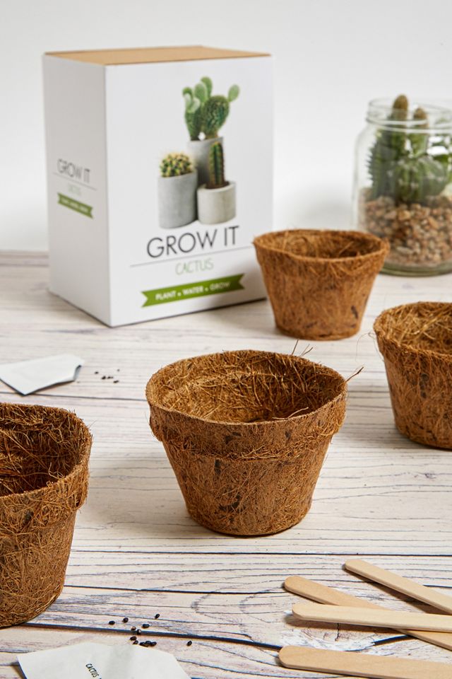 Grow It Cactus Kit | Urban Outfitters UK