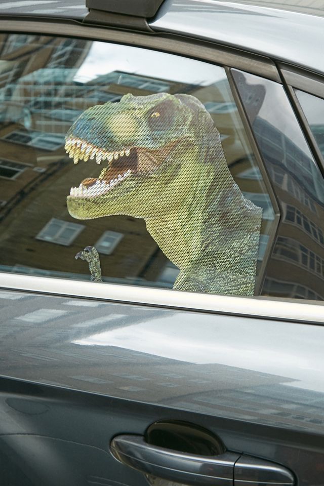 Dinosaur Car Decal | Urban Outfitters UK