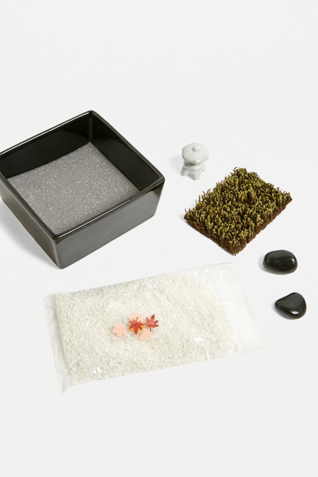 Grow Your Own Moss Garden Kit | Urban Outfitters UK