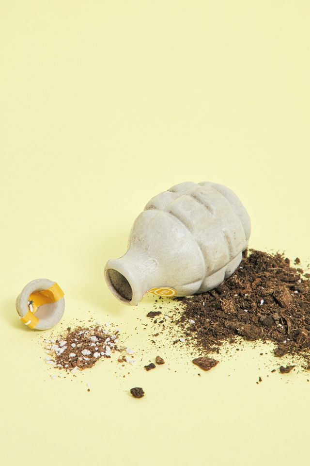 Grow Your Own Pollinator Beebom Seedbom | Urban Outfitters UK