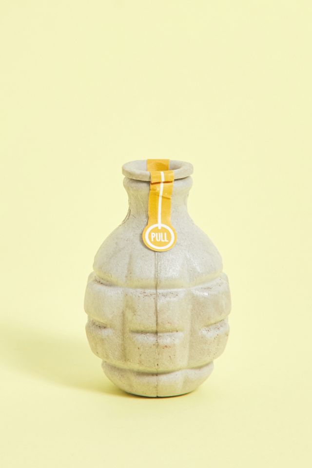 Grow Your Own Pollinator Beebom Seedbom | Urban Outfitters UK