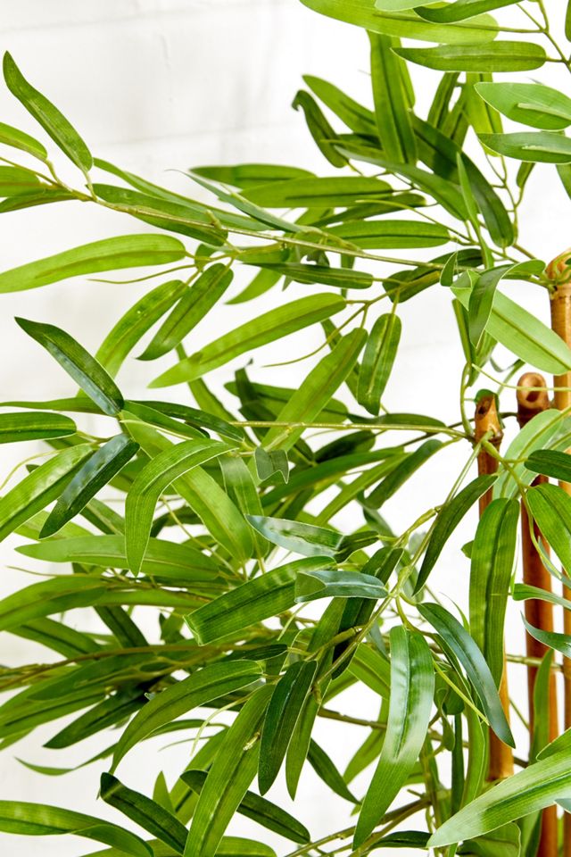 Faux Bamboo Tree | Urban Outfitters UK