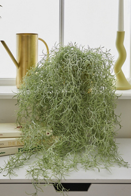 Faux Trailing Spanish Moss Plant | Urban Outfitters UK