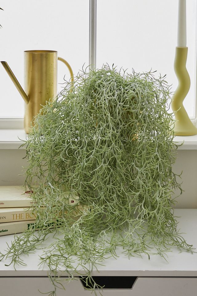 Faux Trailing Spanish Moss Plant | Urban Outfitters UK