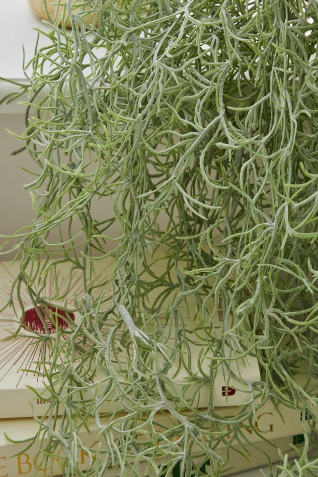 Faux Trailing Spanish Moss Plant | Urban Outfitters UK