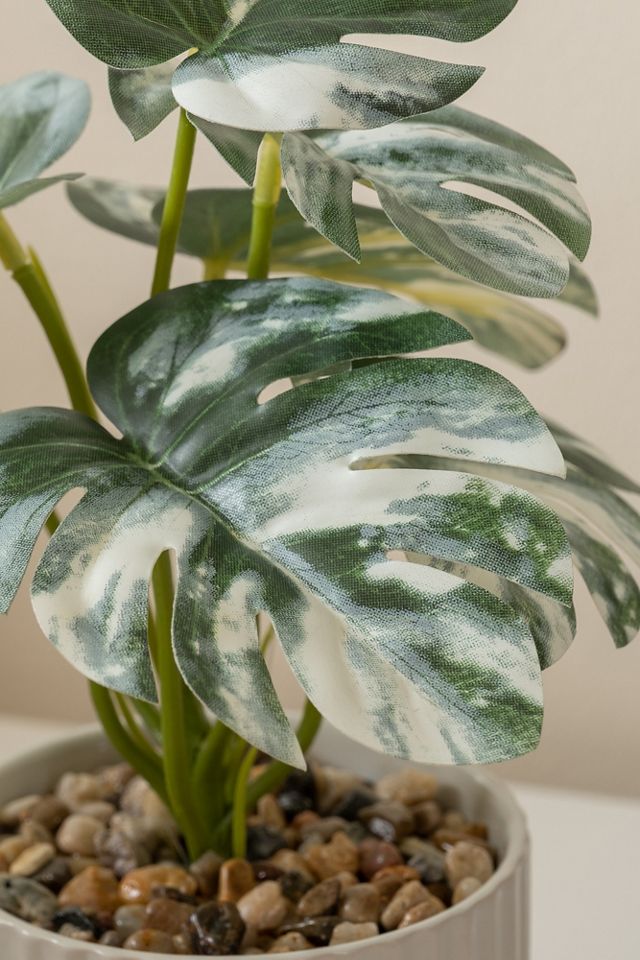 Mini piante grasse finte confezione da 3 | Urban Outfitters IT