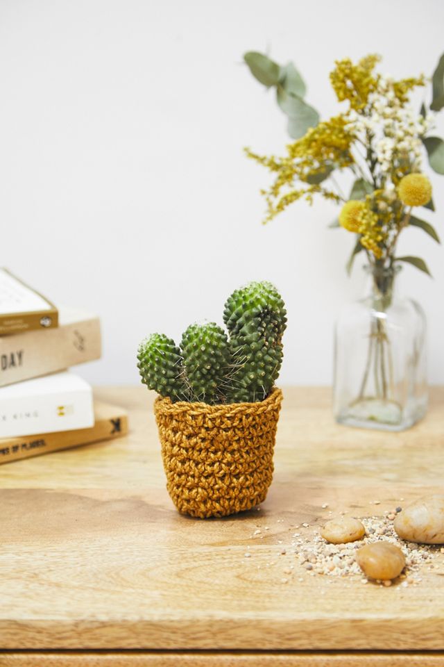 Mini Coconut Jute Pot | Urban Outfitters UK