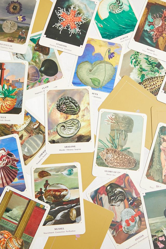 The Seashell Oracle: 44 Card Deck & Guidebook | Urban Outfitters UK