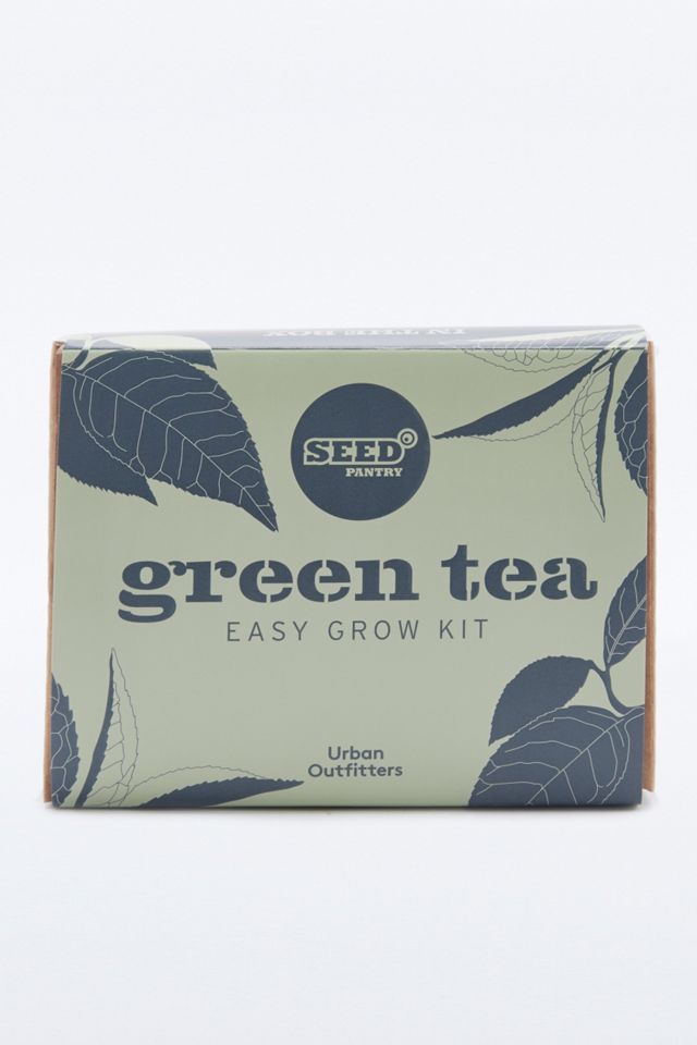 Seed Pantry Green Tea Easy Grow Kit | Urban Outfitters UK