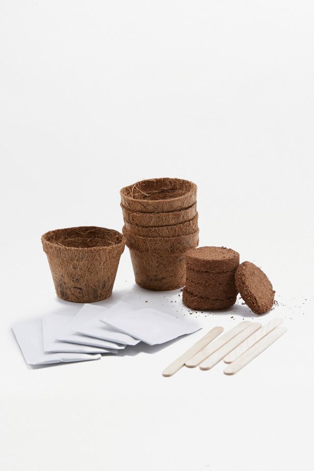 Grow It Cocktail Garden Kit | Urban Outfitters DE
