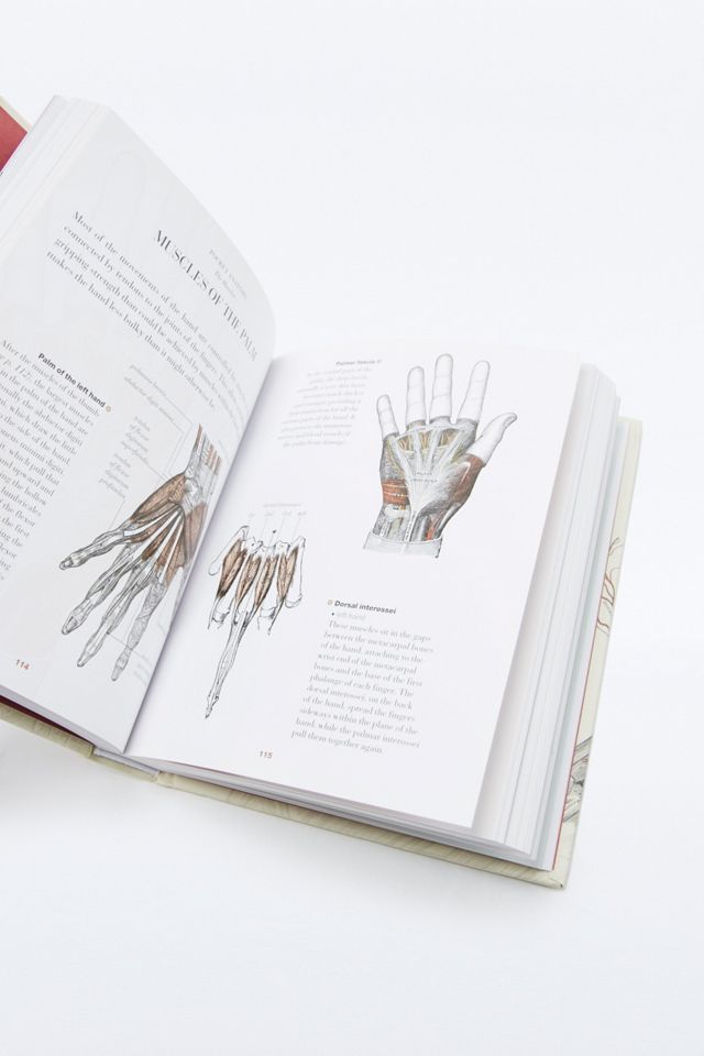 Anatomy: A Complete Guide to the Human Body | Urban Outfitters UK